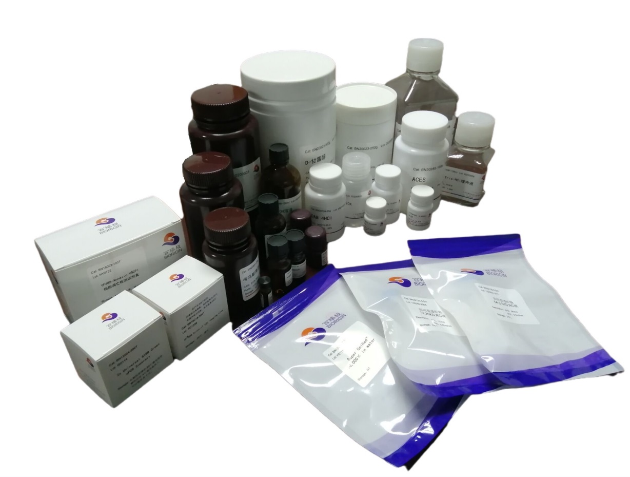 2 × Phanta Flash Master Mix(Dye Plus) - 北京科瑞思普科技有限公司