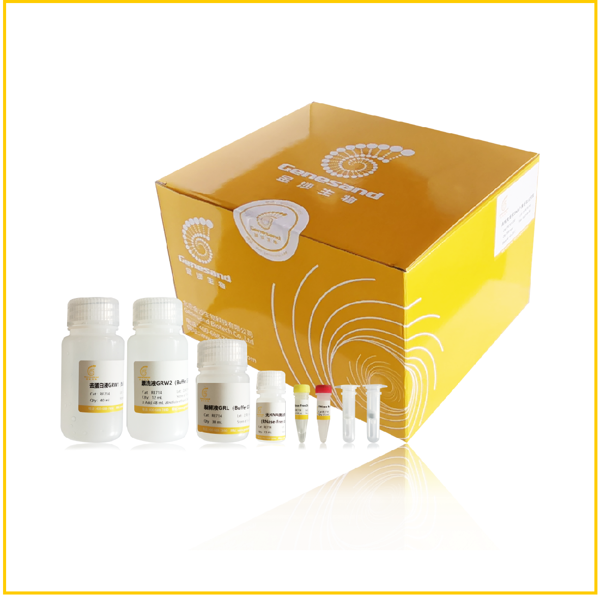 2 × Phanta Flash Master Mix(Dye Plus) - 北京科瑞思普科技有限公司